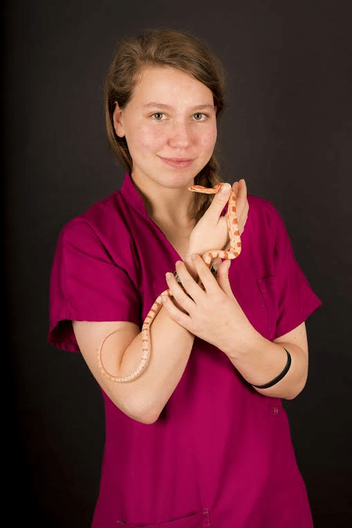 Amivet – Un travail de qualité pour le bien-être des animaux